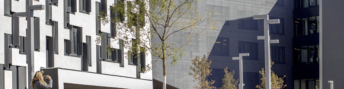 PhD Label Mathematics in Economics and Business - first PhD pizza event