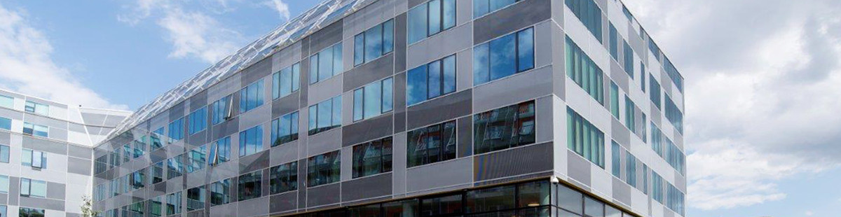 Improving Public Transportation for Senior Citizens: A Focus on Burden ...