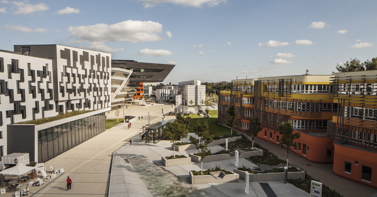 LSEG Workspace (vormals Eikon with Datastream) - Info - Datenbanken