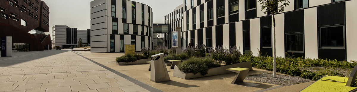 Quentin Botha - Team - Institute for Distributed Ledgers and Token Economy