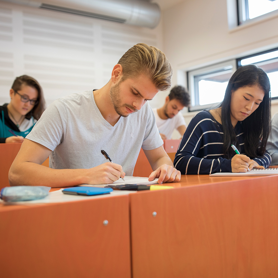 WU launches selection procedures for all bachelor’s programs